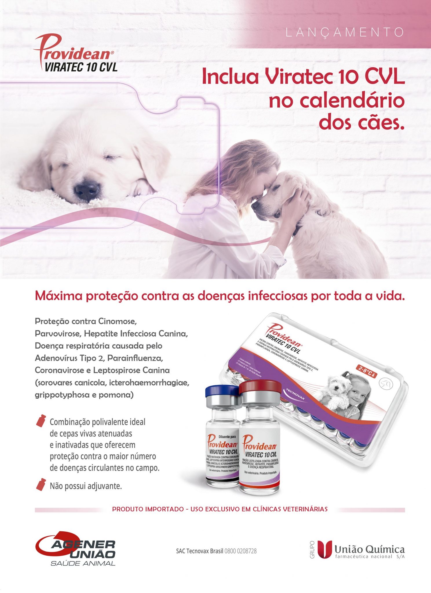 | Vacinação em cães: a importância da Vacina Déctupla (V10)