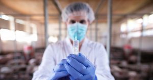| Eficiência reprodutiva em bovinos: o que é e como mensurar